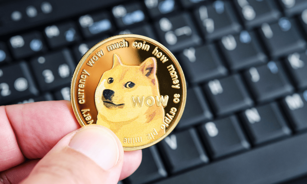 Doge Doge 